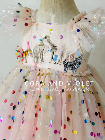 Party Animal Birthday dress-EXPRESS – Cora and Violet